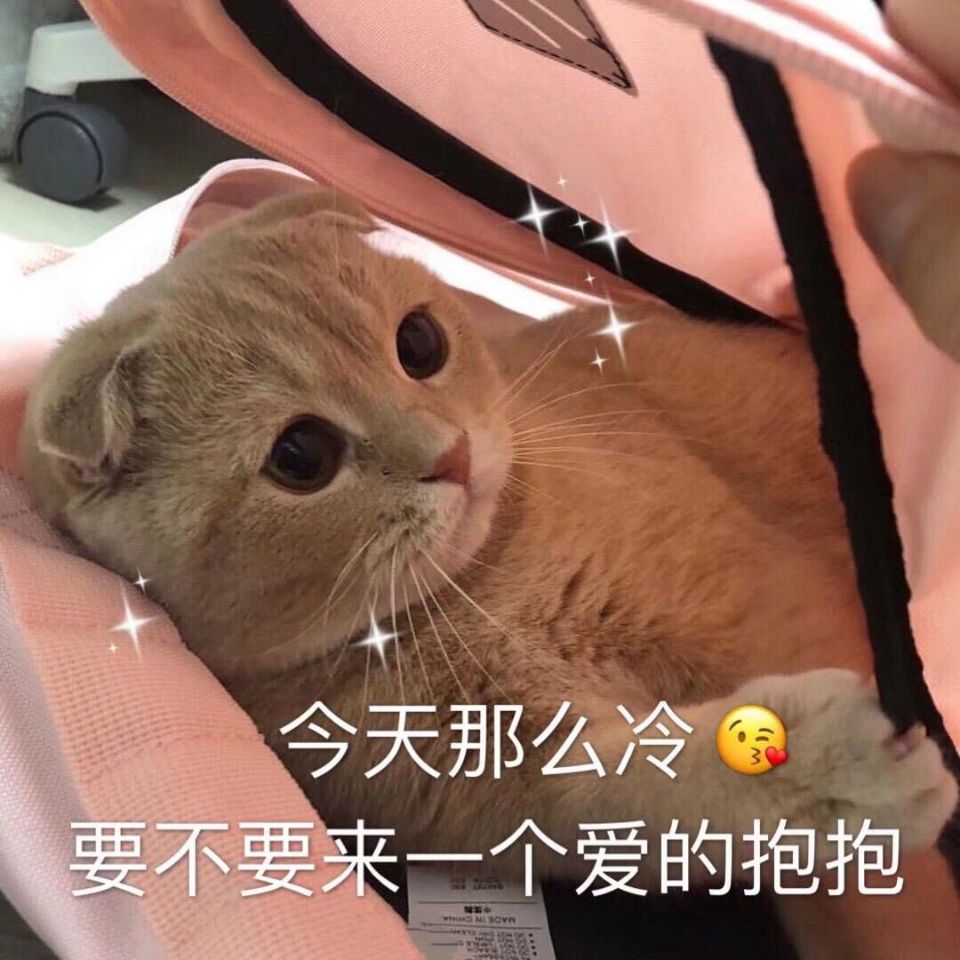 cpdd可爱表情包-千图网