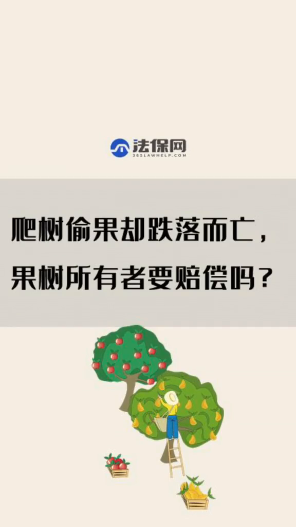 你给我讲法律我都觉得好笑
