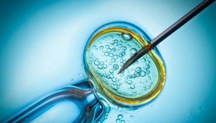 科学网—究竟谁才是真正的克隆羊之父？ - 张磊的博文