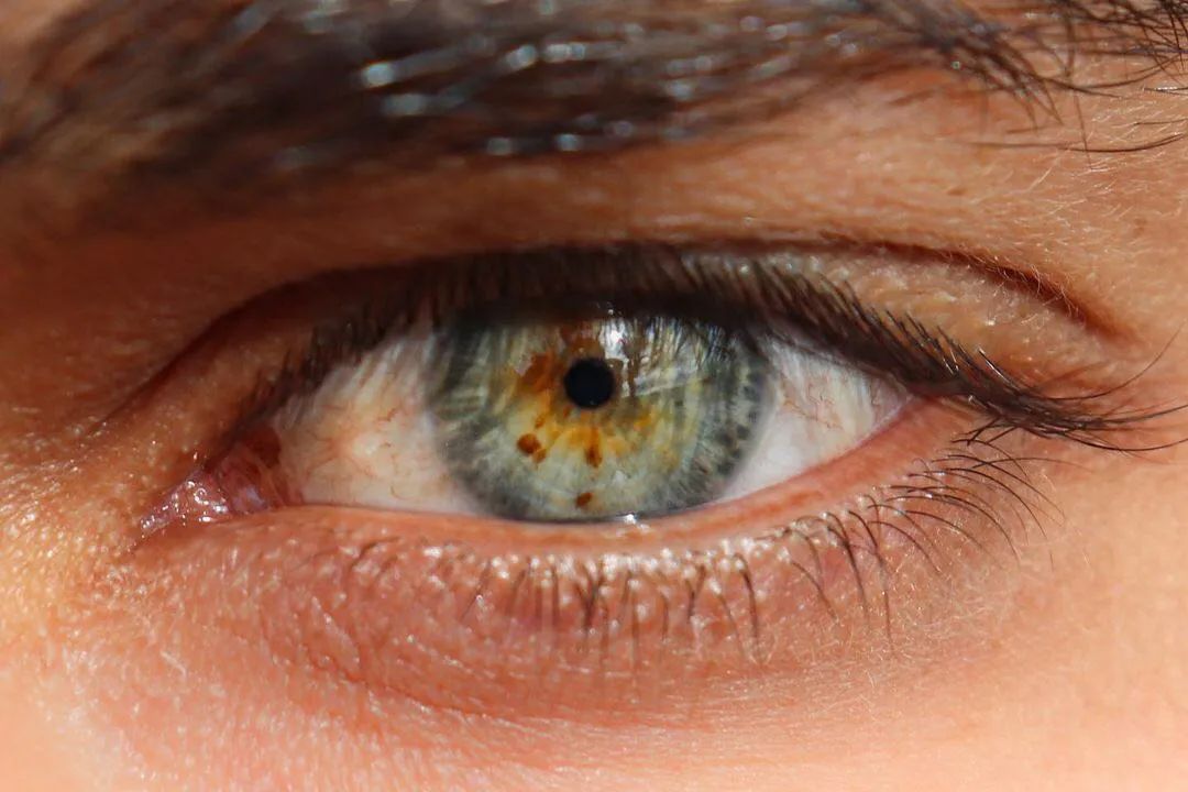 Alfredo Hernandez de la Cruz. What a beautiful name! | DayDayNews