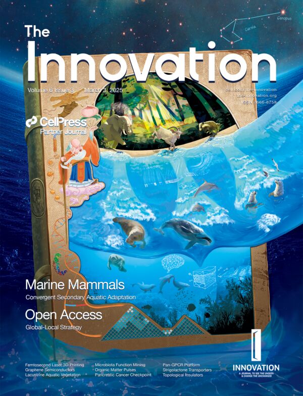The Innovation Geoscience