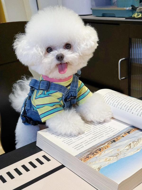 攻略做好了，有人一起出去玩吗