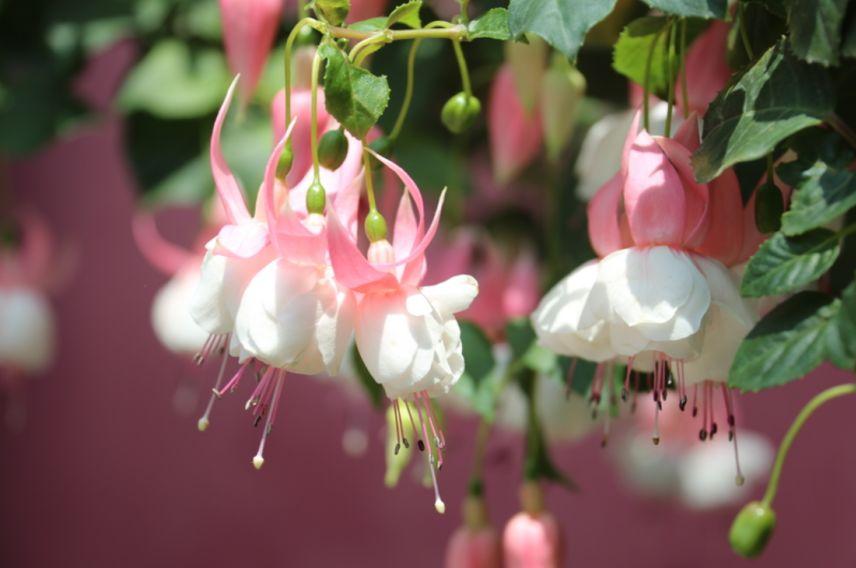 Four constellations, success is not easy but can stand out, persist to ...