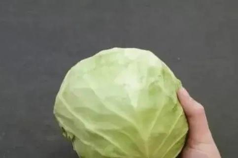 One piece of cabbage can’t be eaten completely, it will lose moisture ...