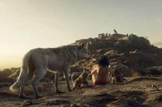 Why do wolves grow up when they encounter human babies instead of ...