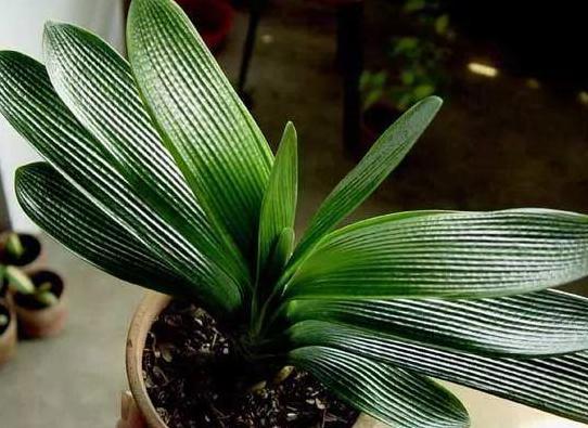 Don’t throw away the bean dregs for making soymilk. Simply treat it to ...