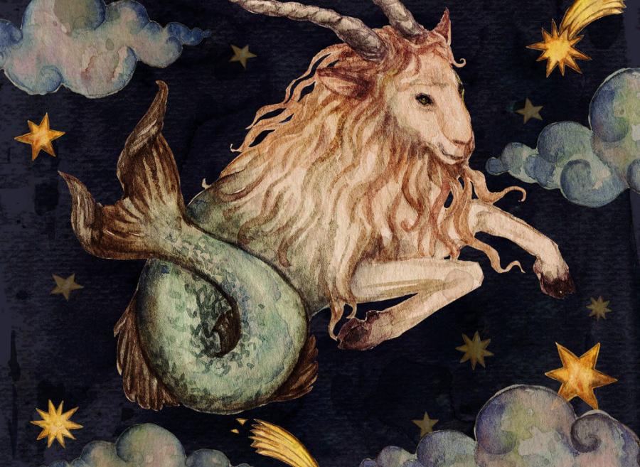 When Capricorn meets the Zodiac, which zodiac is the perfect match for ...